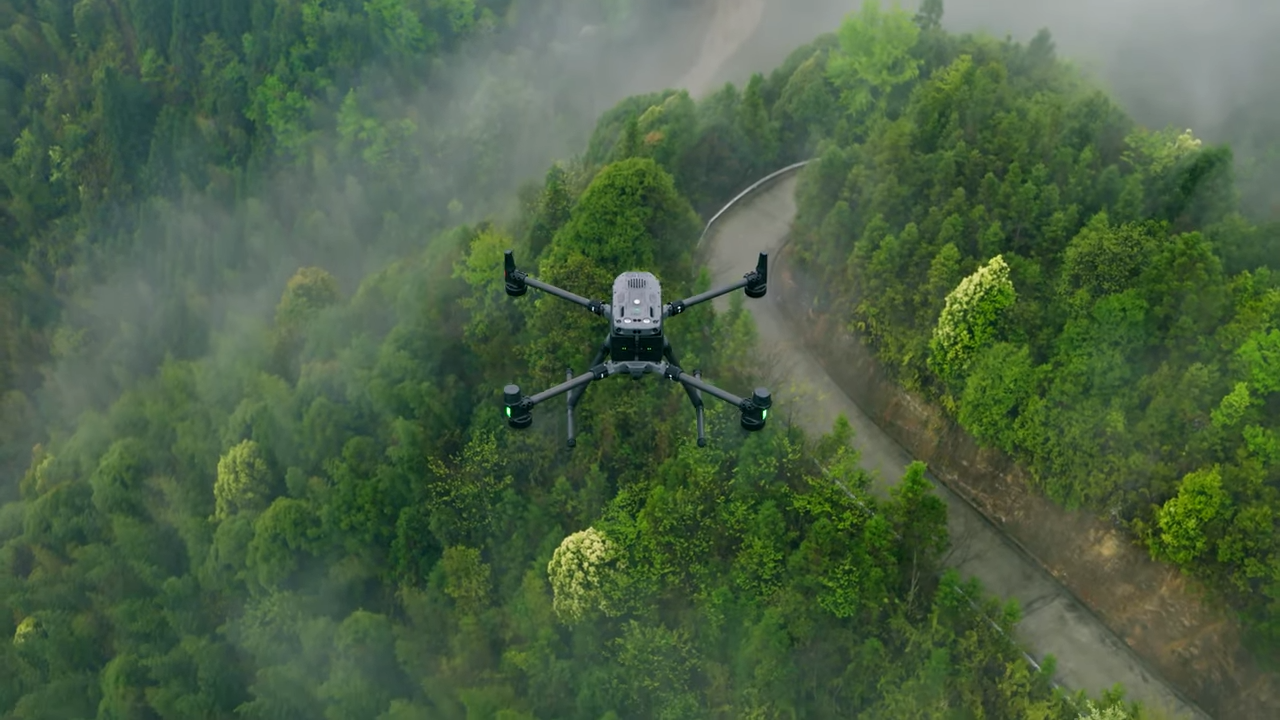 Maximizing Forestry Insights: 4 Applications for the Matrice 350 RTK ...